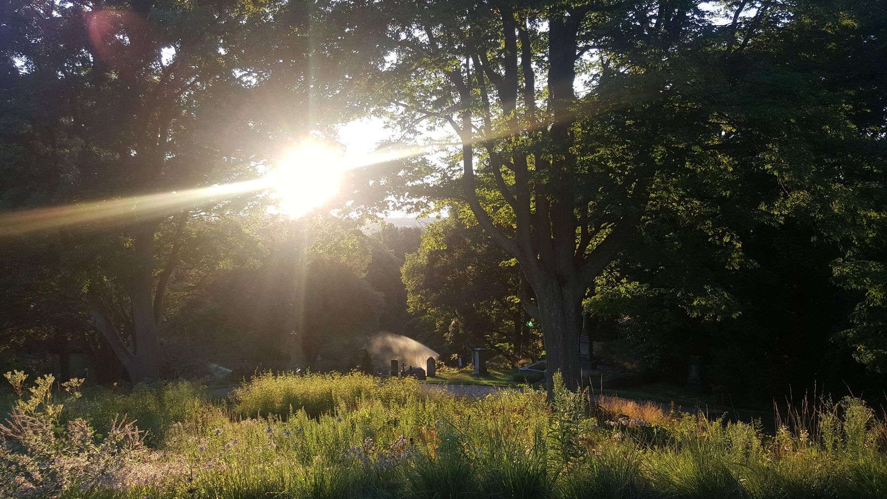 Free software activities in August 2016 - Chris Lamb