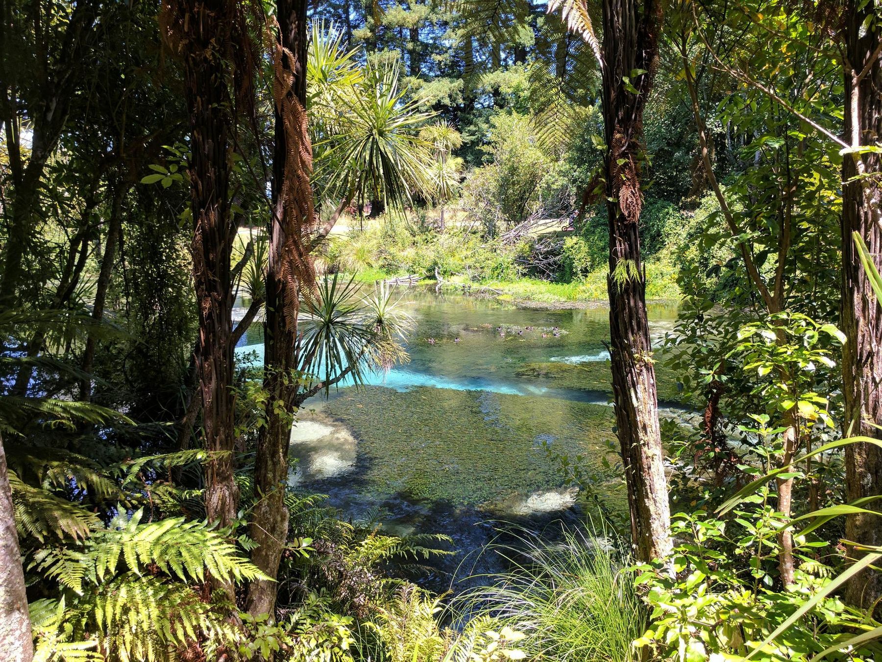 Free software activities in January 2017 - Chris Lamb