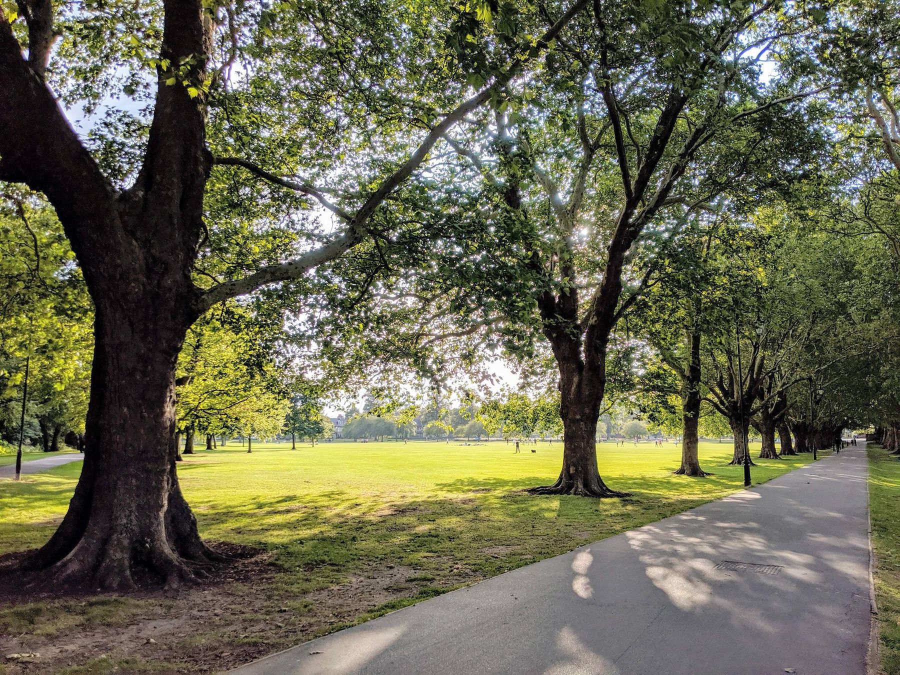 Free software activities in August 2019 - Chris Lamb