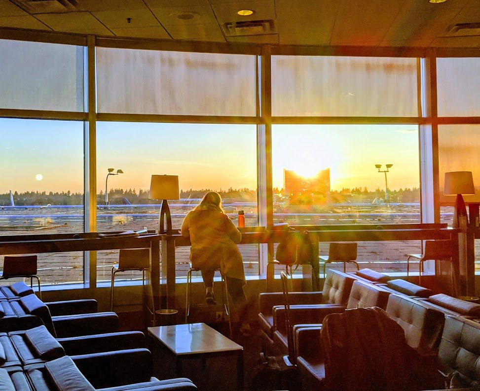 Free software activities in March 2020 - Chris Lamb